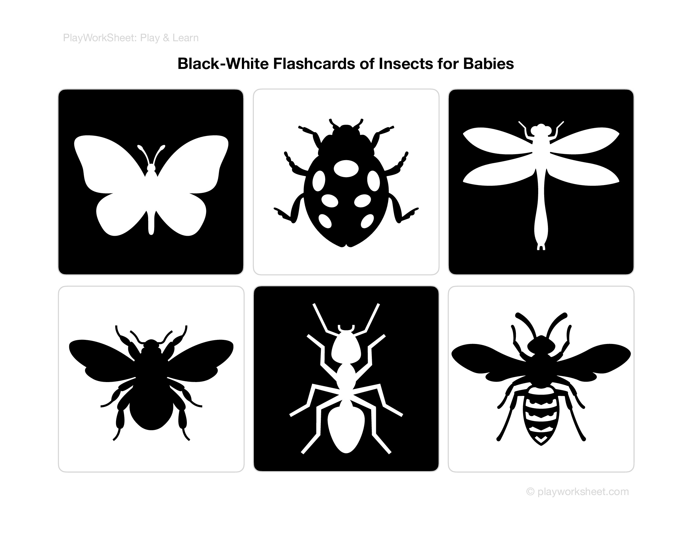Black-and-White Printable Flashcards of Insects | Free Printables for Kids