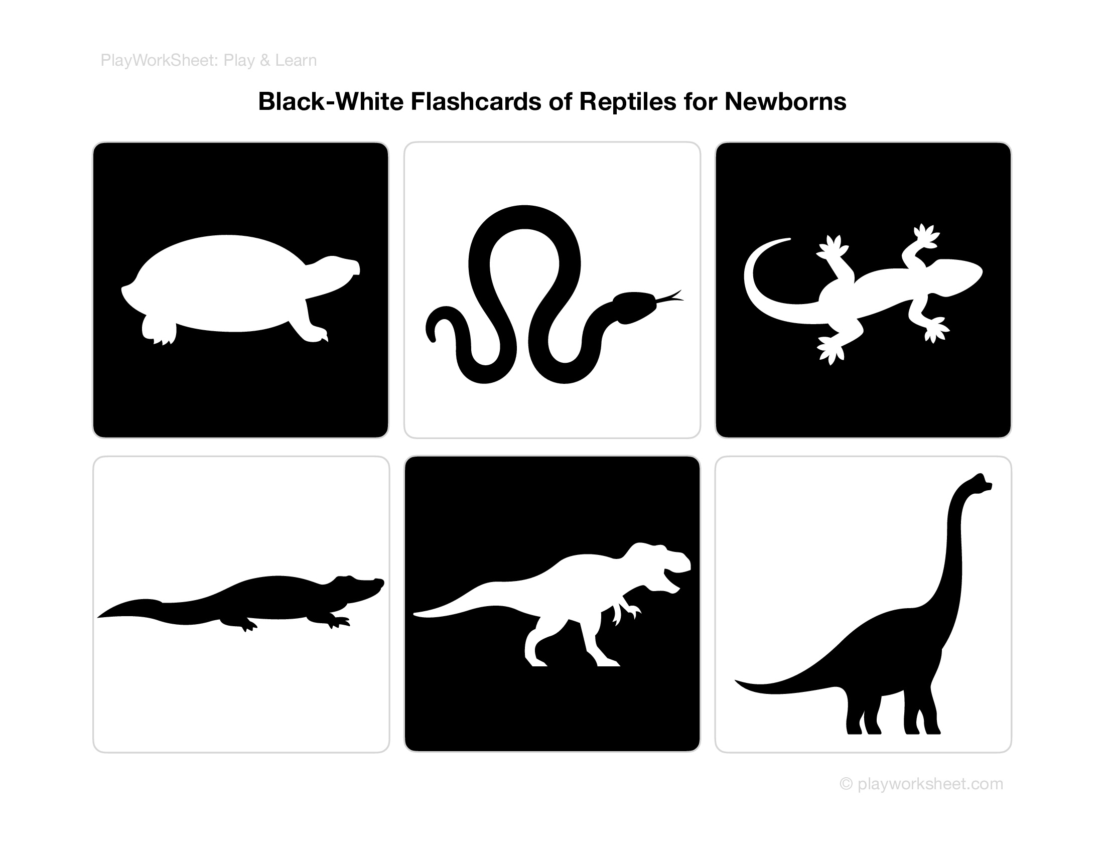 Reptile Adventures Flash Cards for Newborns | Free Printables for Kids