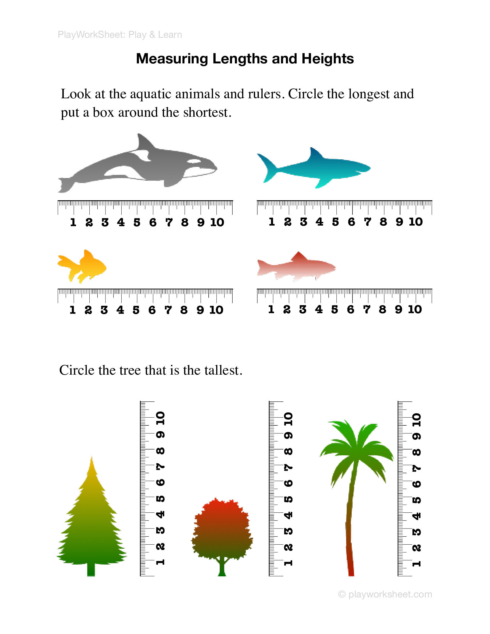 Measure Length and Height by Rulers | Free Printables for Kids