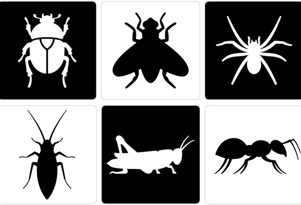 Black-and-White Printable Flashcards of Insects | Free Printables for Kids