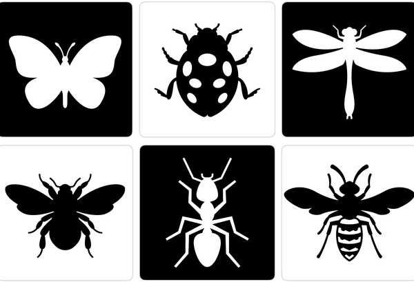 Black-and-White Printable Flashcards of Insects | Free Printables for Kids