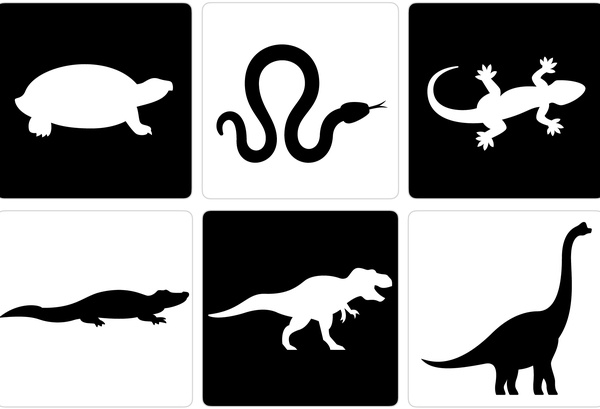 Reptile Adventures Flash Cards for Newborns | Free Printables for Kids