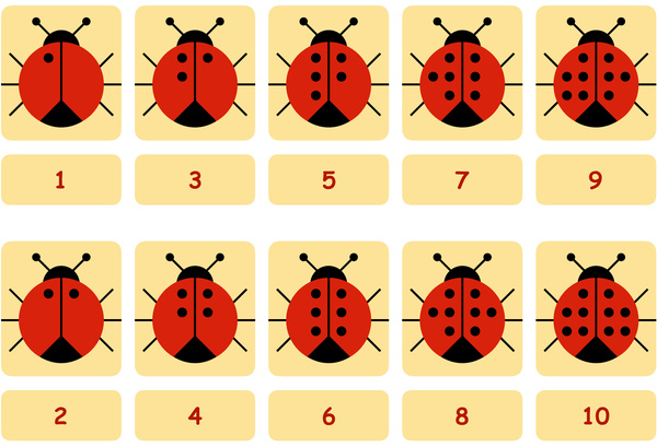 Ladybug Number Cards: Learning Numbers, Counting, and Odd/Even Concepts ...