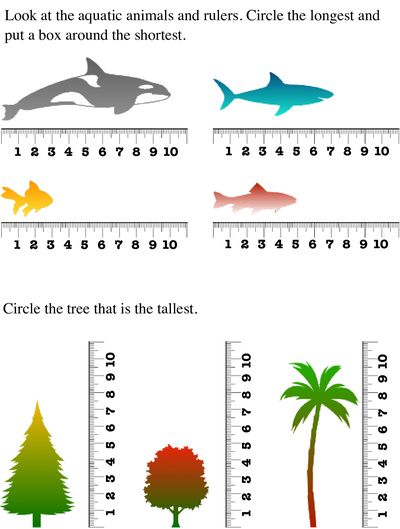 Measure Length and Height by Rulers | Free Printables for Kids