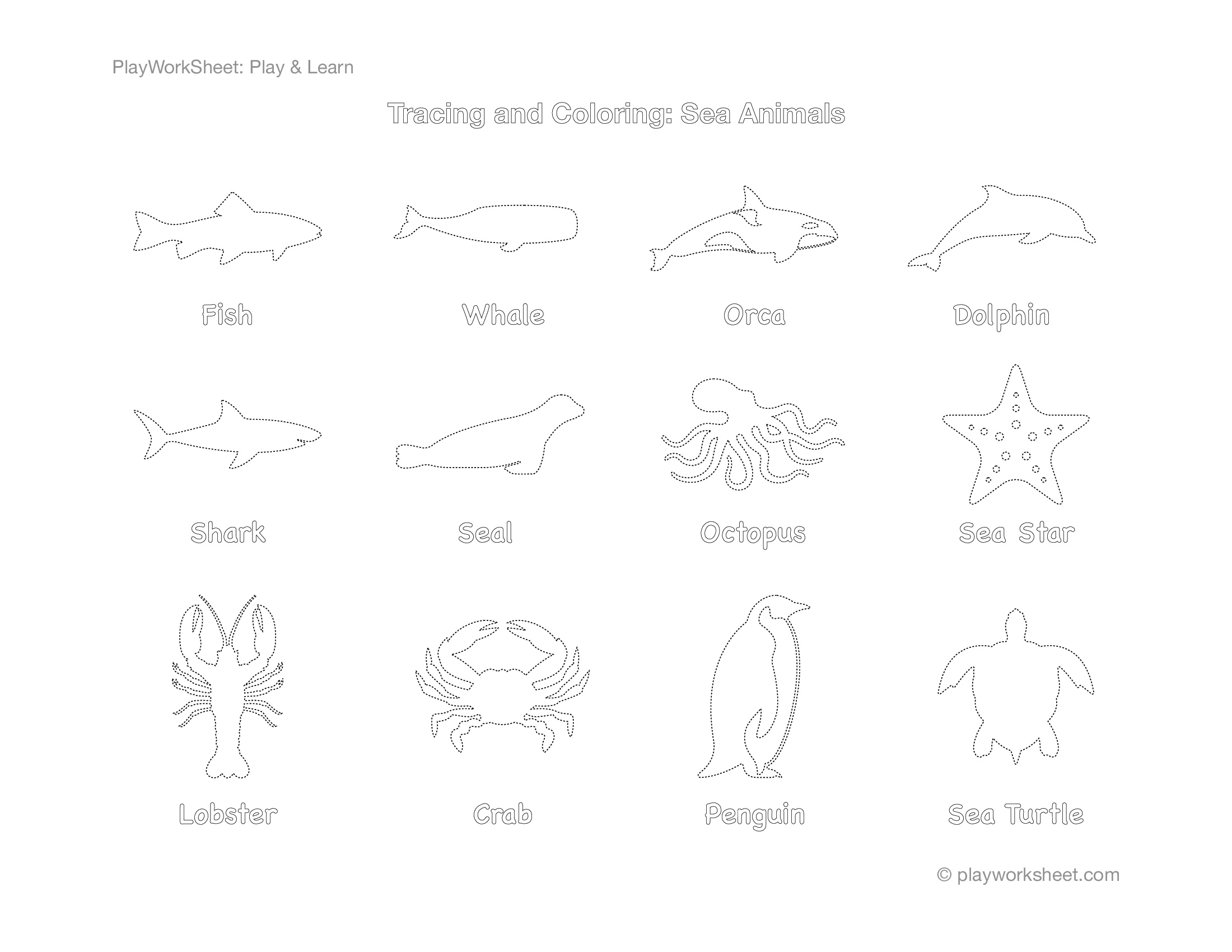 Undersea Adventure: Tracing and Coloring Sea Animal Dotted Outlines ...